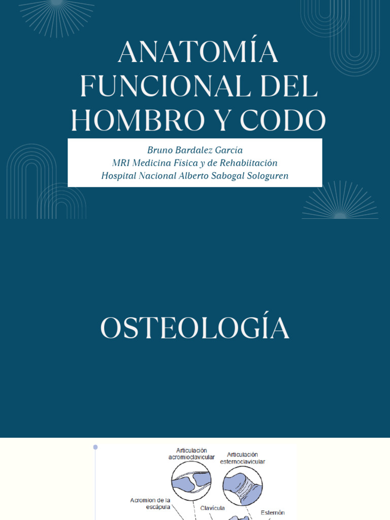 Anatomia Funcional | PDF
