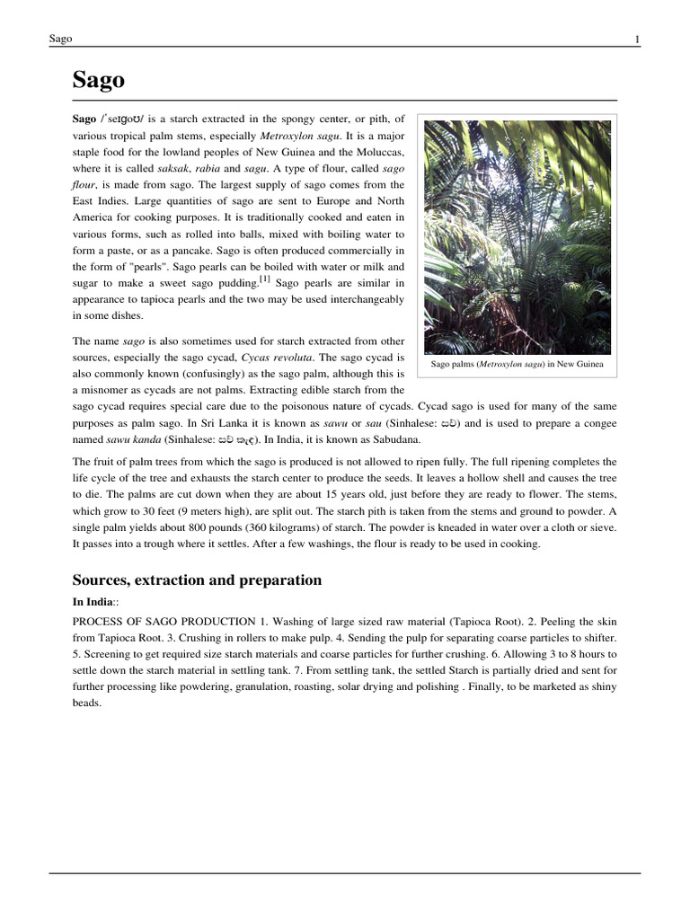 Sago | PDF