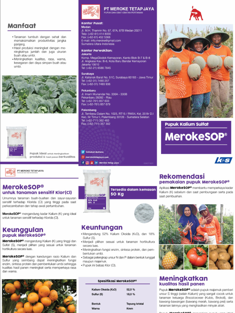 Meroke SOP | PDF