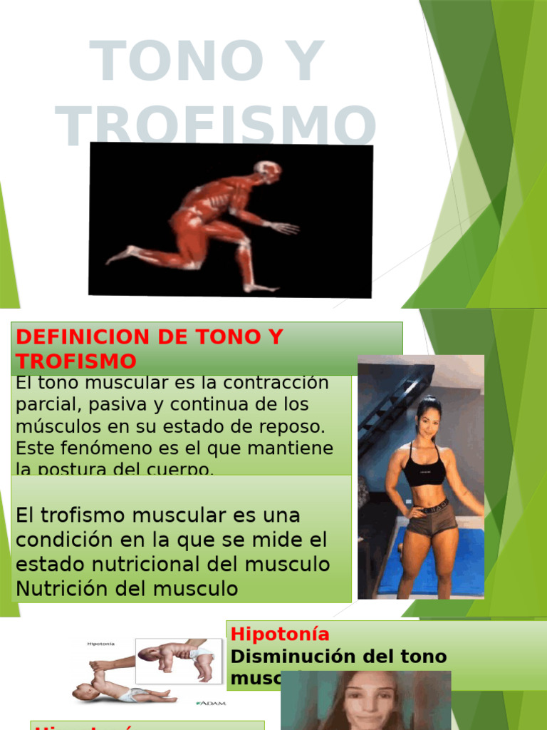 Tono y Trofismo Muscular Definidos | PDF