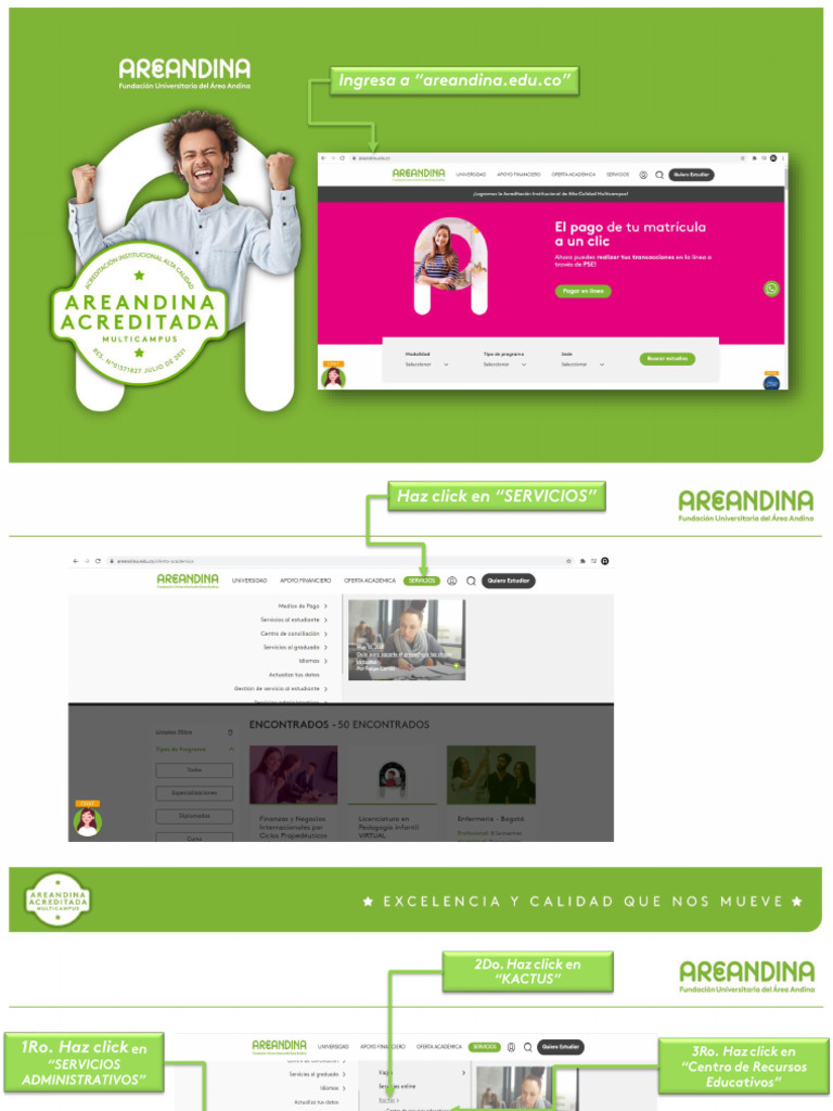 Instructivo de Solicitudes - Coloso | PDF