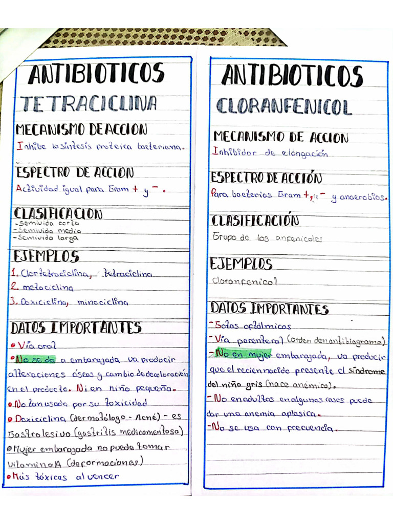Antibiótico (2) | PDF