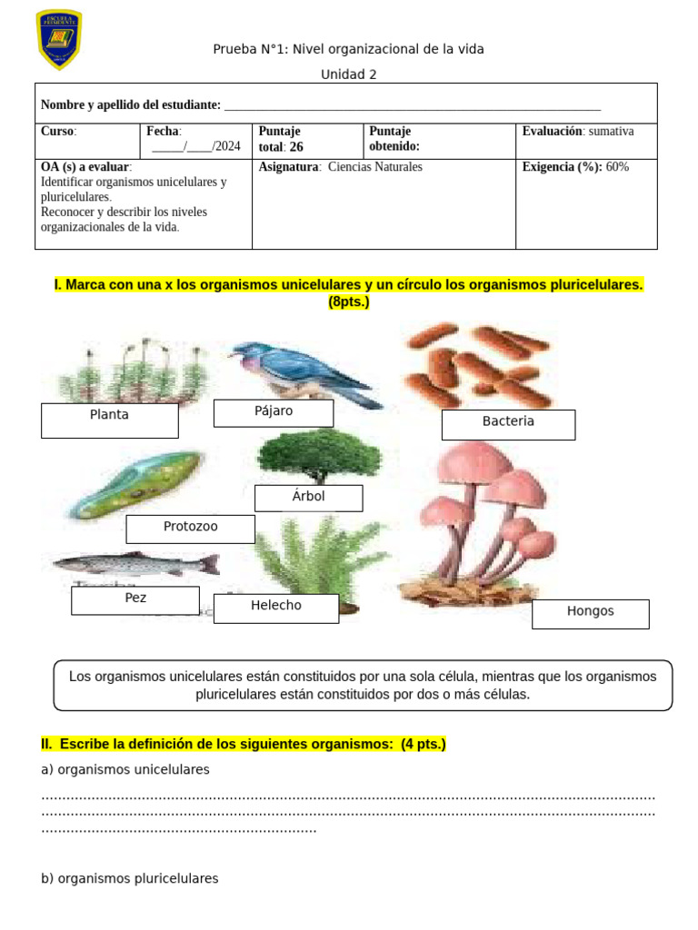 Prueba Ciencias 5to | PDF
