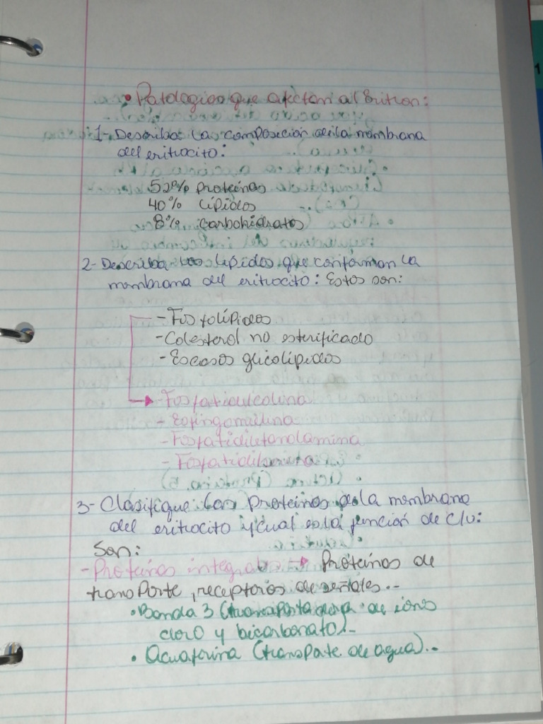 Patologias Que Afectan Al Eritron | PDF