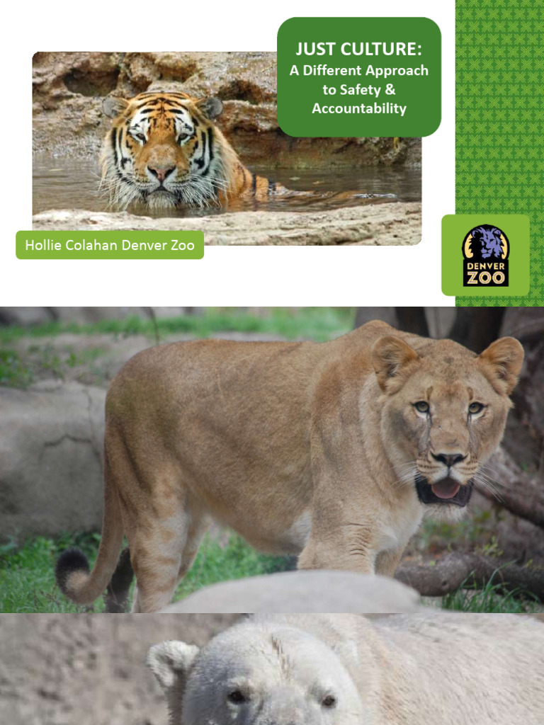 Just-Culture-Colahan | PDF