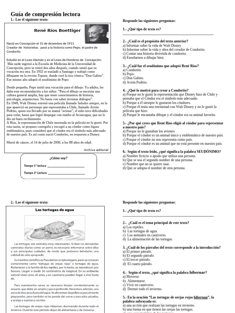 Guia de Comprension Lectora | PDF