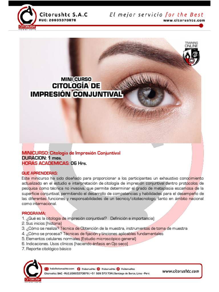 Programa Cic | PDF | Art | Computers