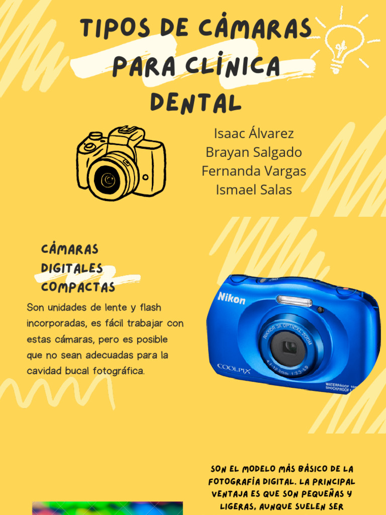 Tipos de Cámaras - 20240202 - 140653 - 0000 | PDF