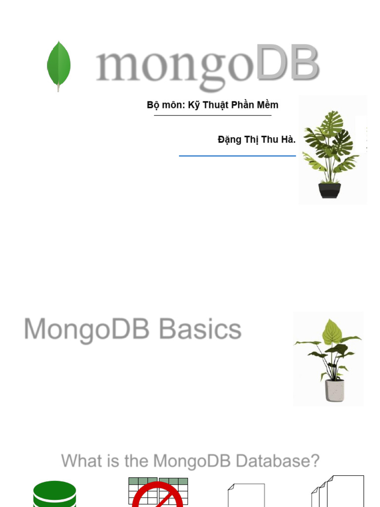 1 - MongoDB Basics | PDF