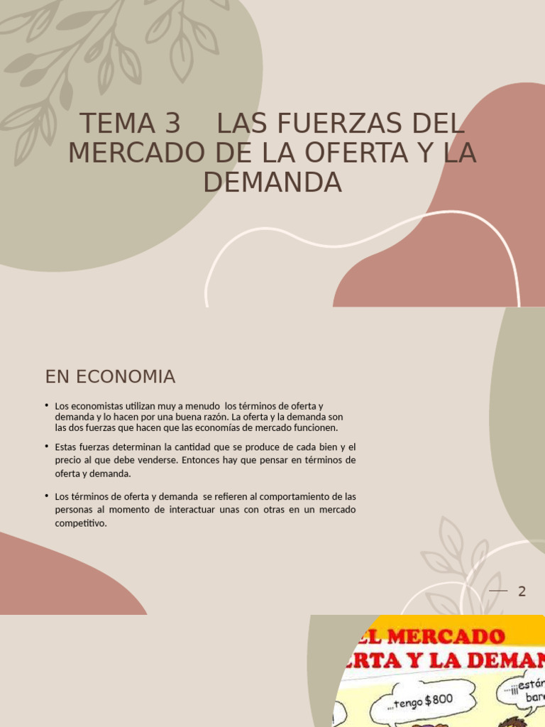 Tema 3 Las Fuerzas Del Mercado de La Oferta y Demanda Diapositivas | PDF