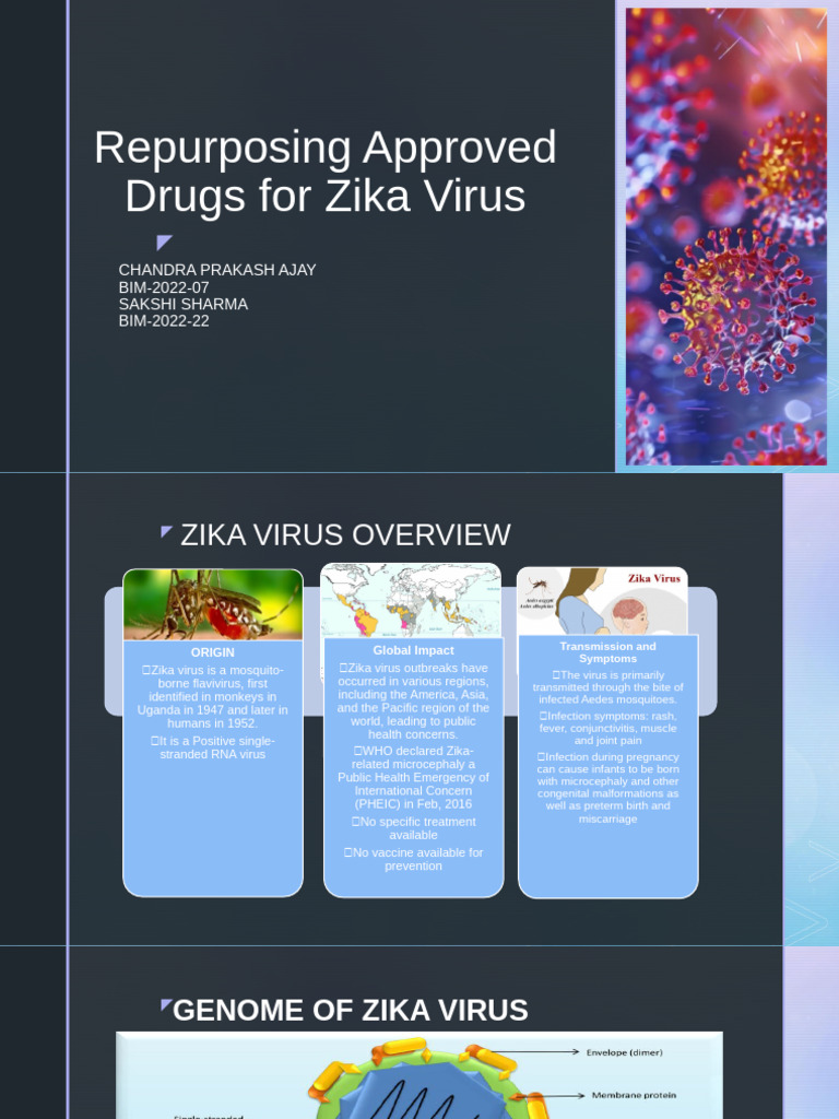 Mini Project (1) Final | PDF