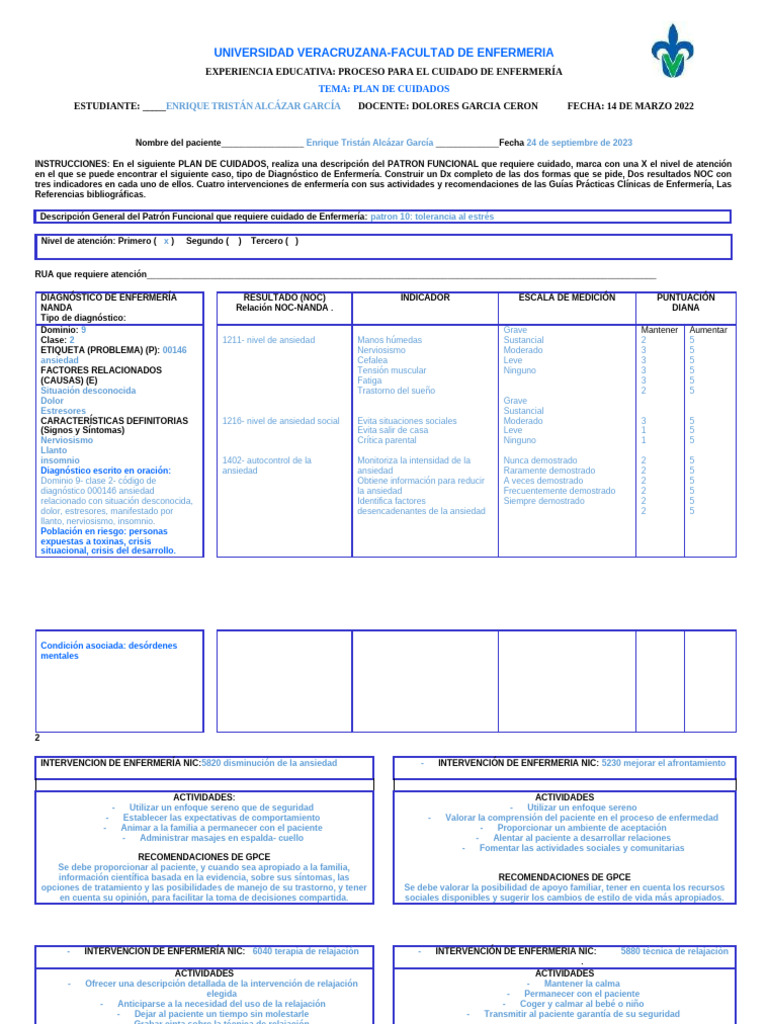 Formato de Plan de Cuidados Con Patrones Funcionales ETAG | PDF
