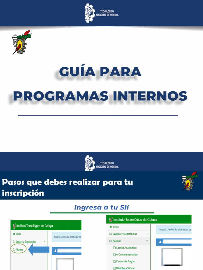 Guía Programas Internos | PDF | Negocios