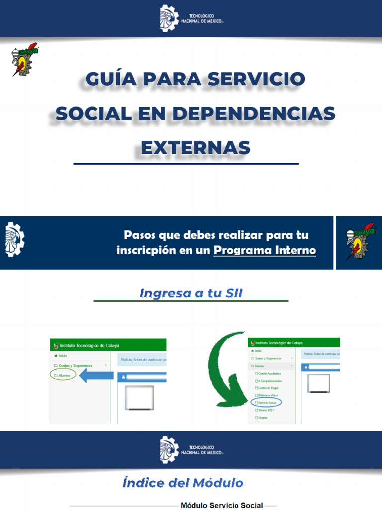 Guía Del Módulo de SS - Dependencias Externas | PDF