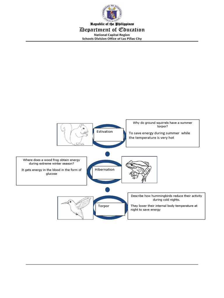 Ivan George SANTOS - Gen-Bio-2-LAW-Q4-Week 4 | PDF