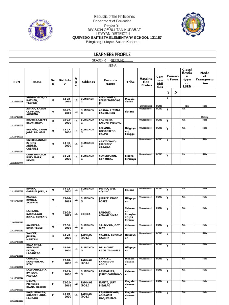 Pupils Profile Form | PDF