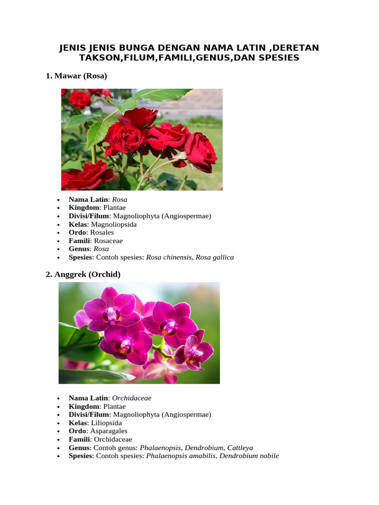 Jenis Jenis Bunga Dengan Nama Latin | PDF