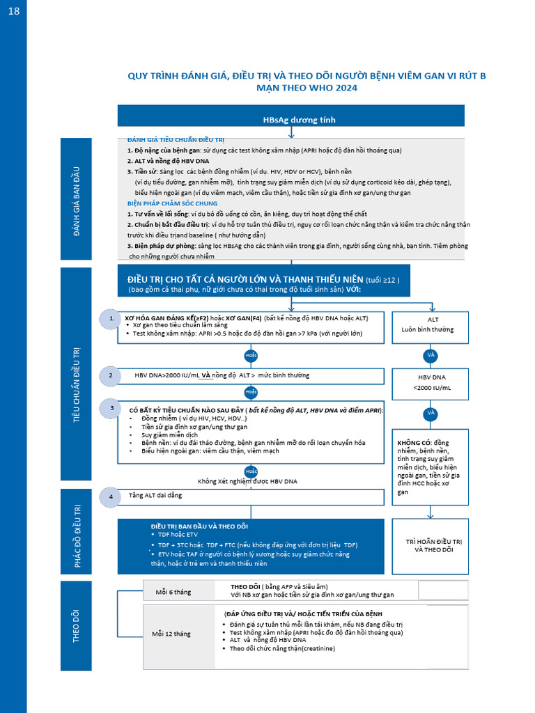VGB WHO Brief Pages 24 | PDF