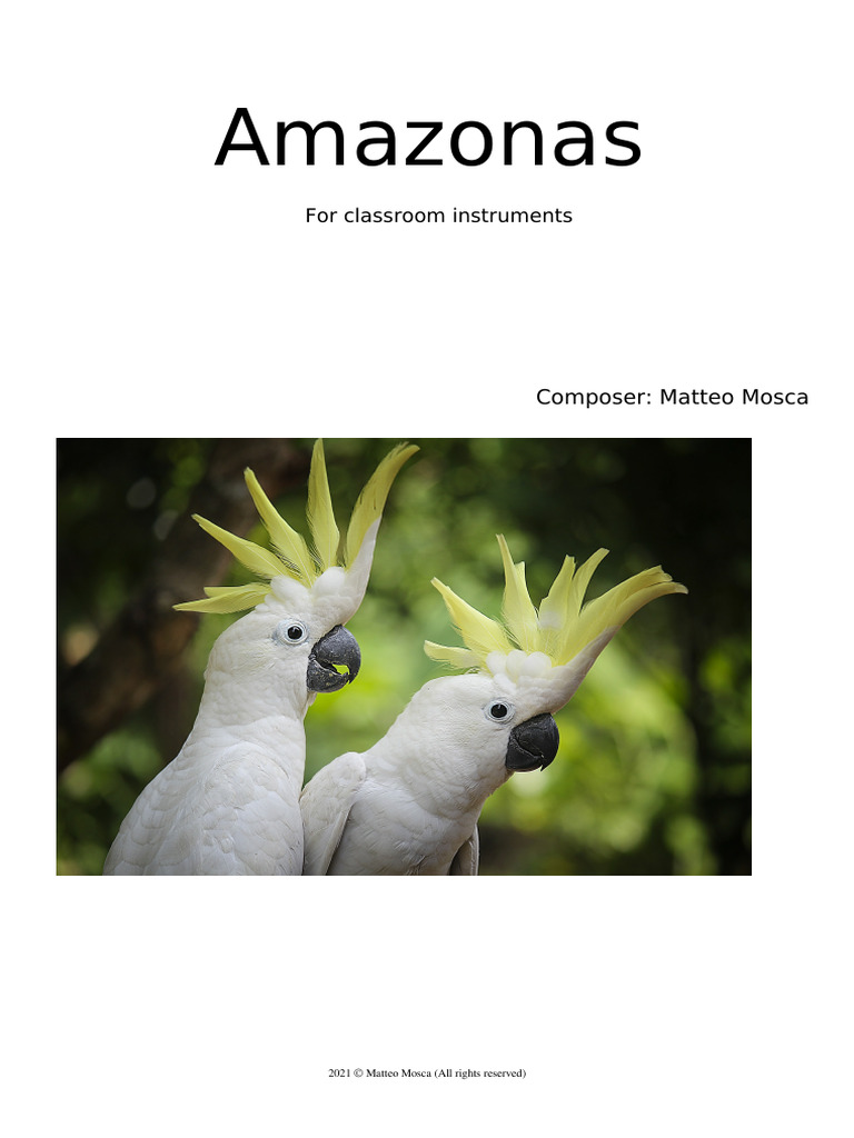 Amazonas | PDF