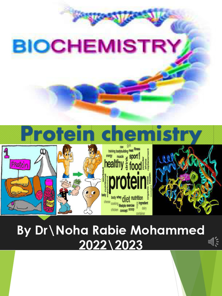 Protein Chemistry 1 DR - Noha | PDF