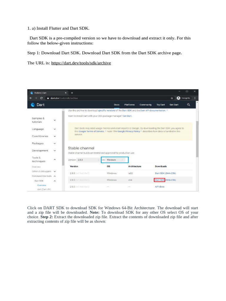 Dart Installation | PDF