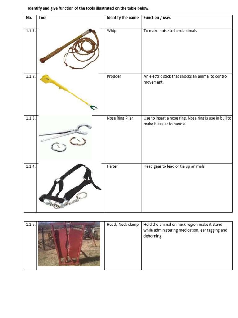 Equipment For Handling Animals | PDF