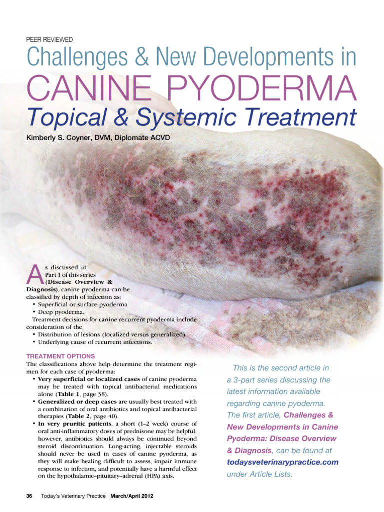 Canine Pyoderma Veterinay | PDF