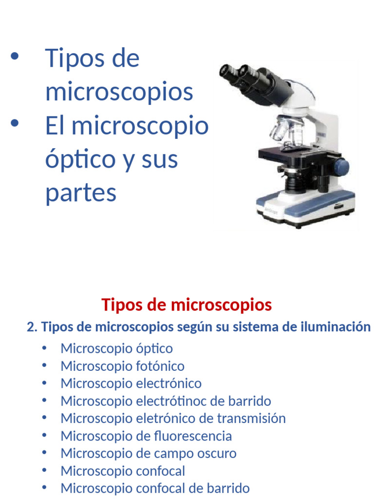 Tipos de Microscopio Óptico y Sus Partes | PDF