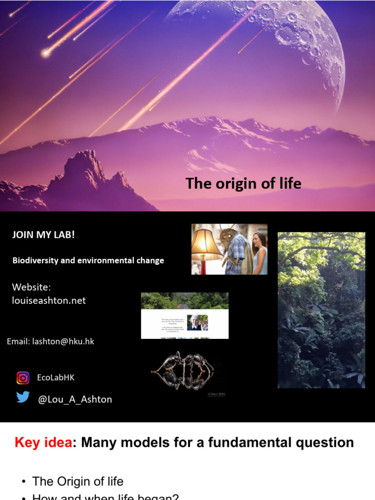 2 Origin of Life 2023 | PDF