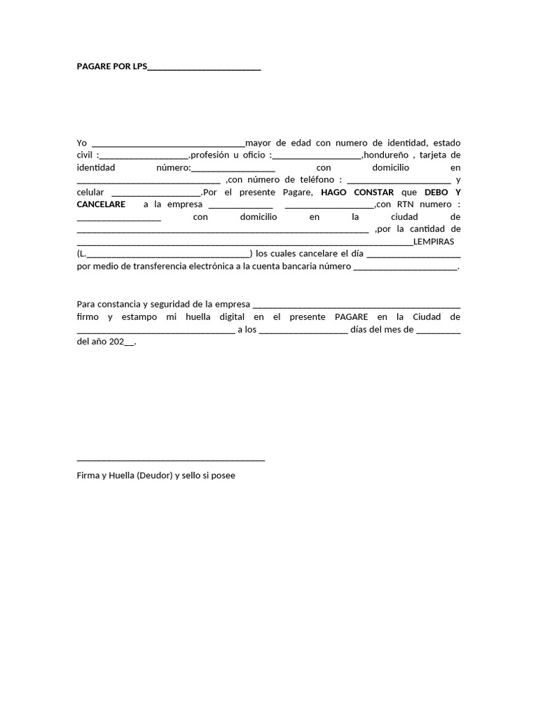 Formato de Pagare | PDF