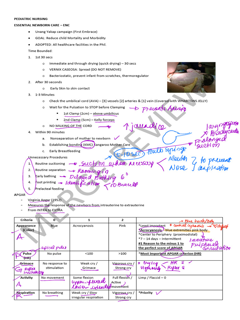 Pedia Lecture Guide 2023 | PDF