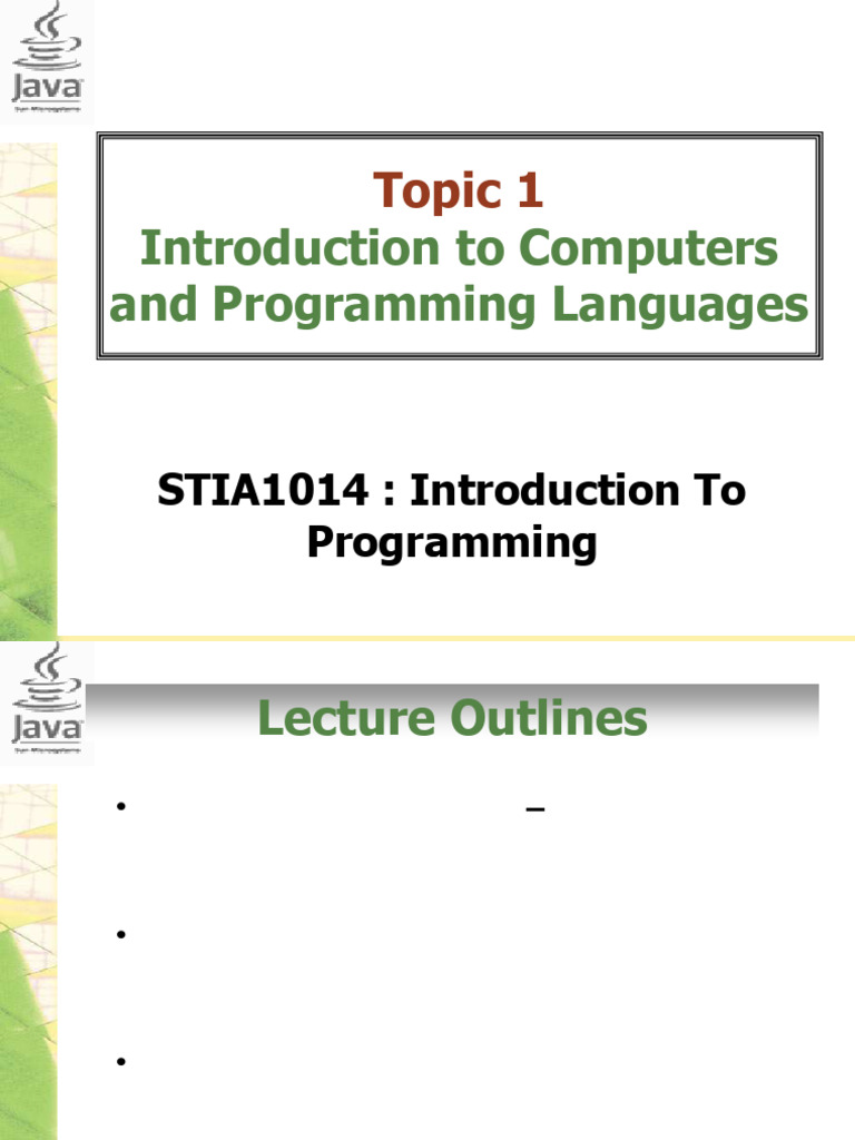 Topic 1 - Intro To ComputerAndProgLanguages - Compressed | PDF