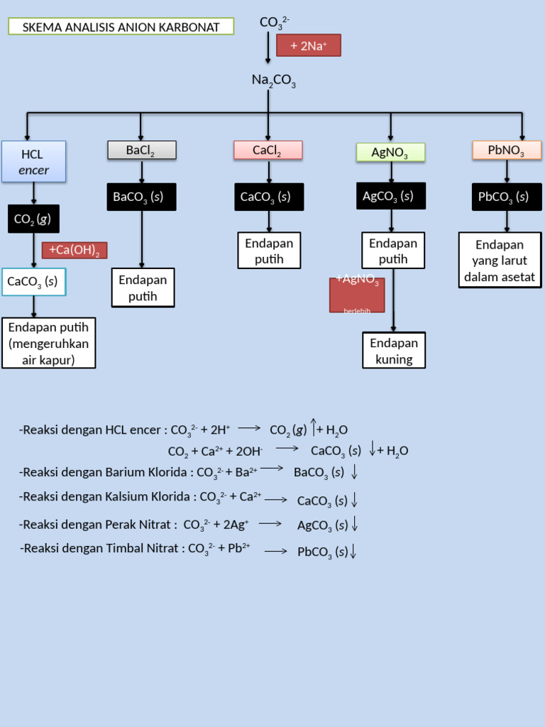 PPT Anion 1 | PDF
