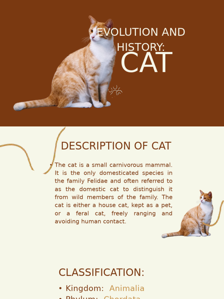 Evolution and History of Cats (Celestra & Garcia) | PDF