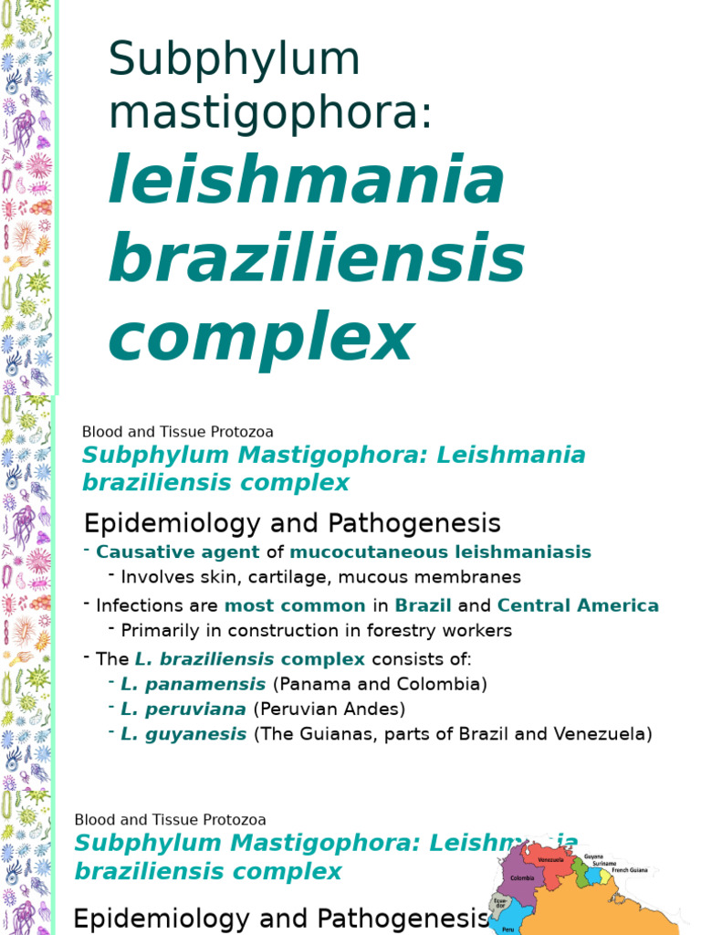 Leishmania 2 | PDF
