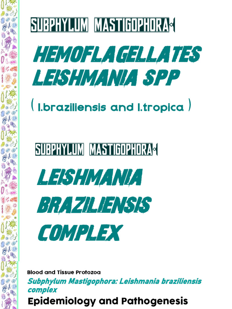 Leishmania | PDF