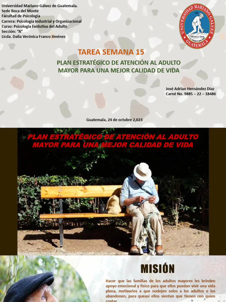 Tarea Semana 15 - Plan Estrategico | PDF