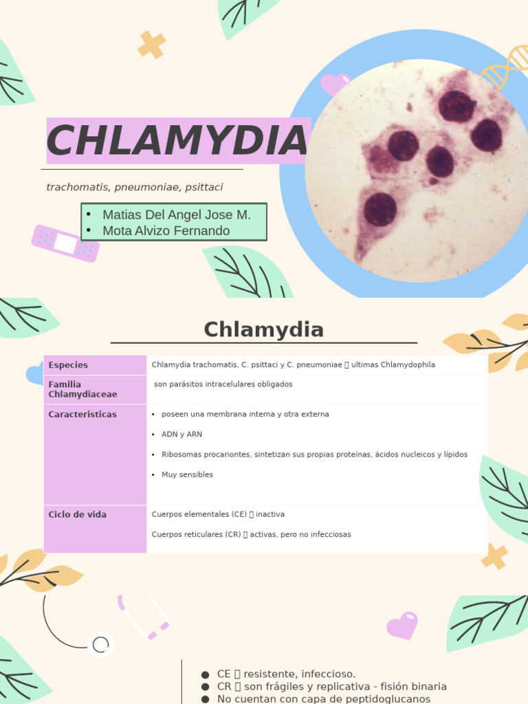 Chlamydia | PDF