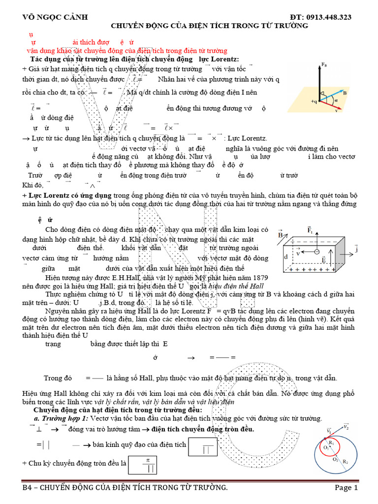 4 Chuyen Dong Cua Dien Tich Trong Dien Tu Truong | PDF