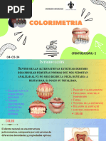Shade Conversion Chart 2012 | PDF