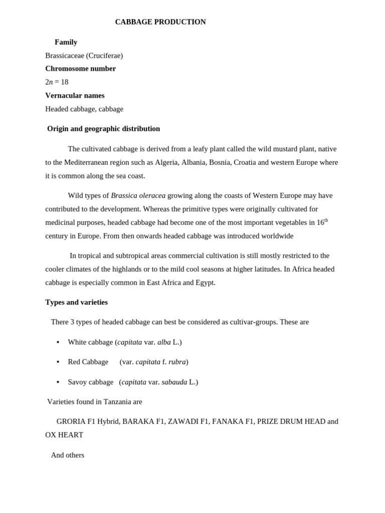 Cabbage Production Notes | PDF | Cabbage | Crop Rotation