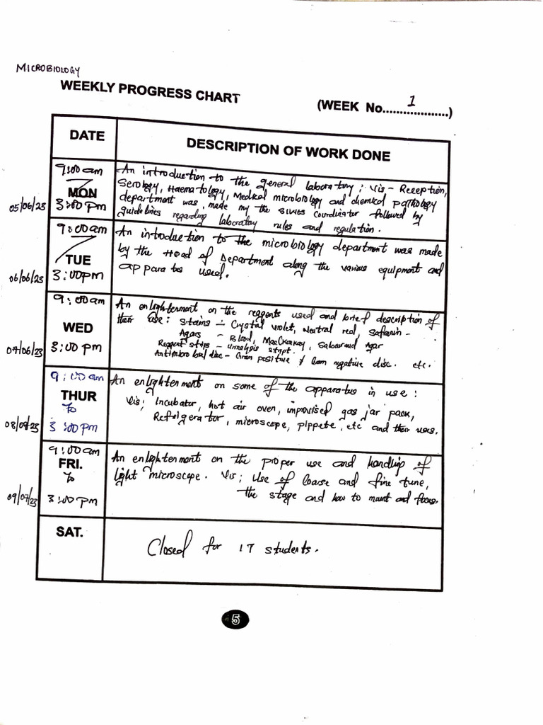 Log Book Report | PDF