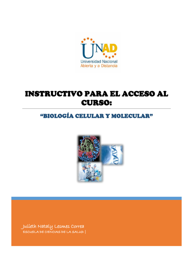 Instructivo | PDF