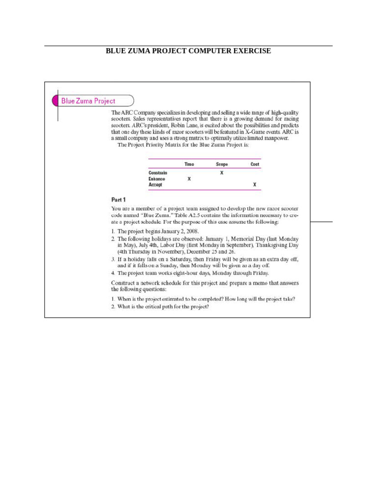 Blue Zuma Project Computer Exercise | PDF