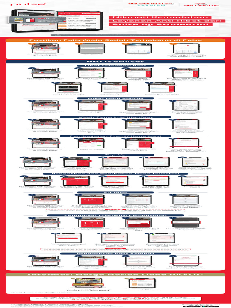 Step by Step Pruservices v1.1 | PDF