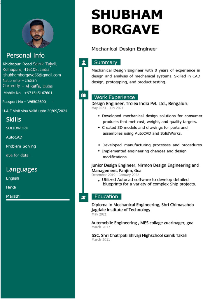 CV Sample | PDF