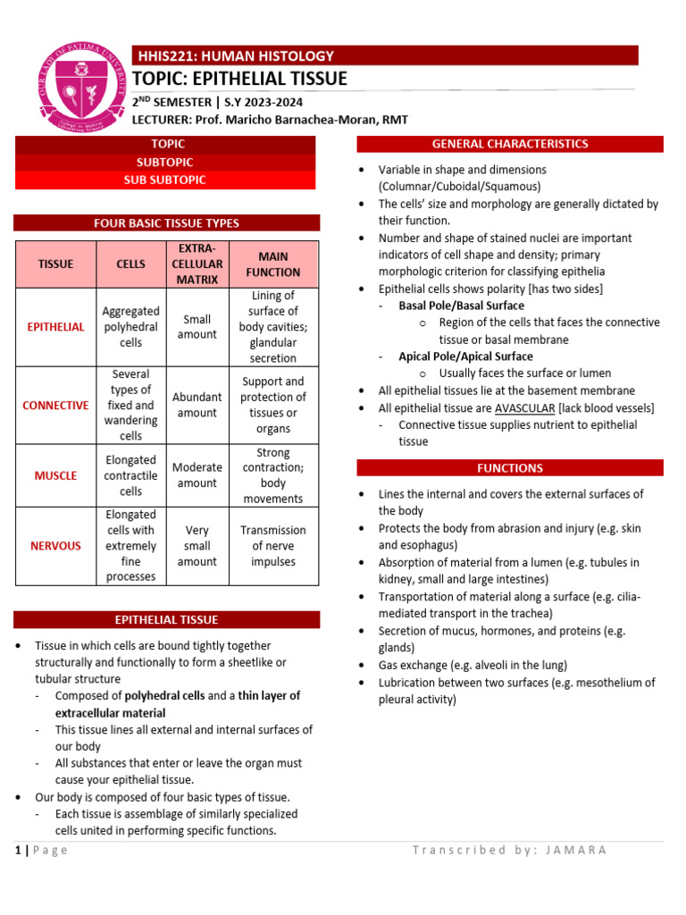 Epithelial Tissue | PDF