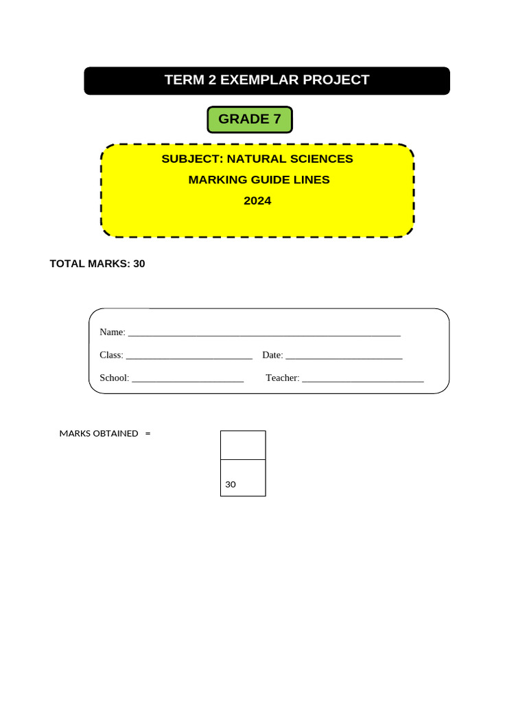 Term 3 Project Grade 7 Marking Guide | PDF | Cartesian Coordinate ...