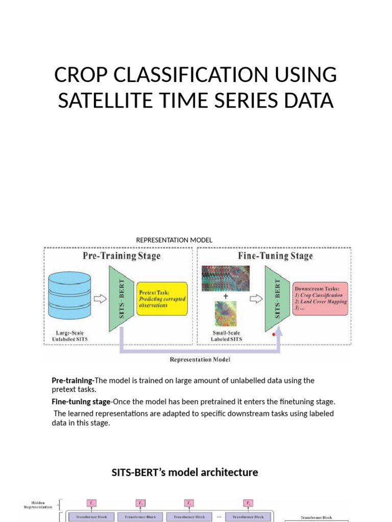 Crop Classification Using Satellite Time Series Data | PDF