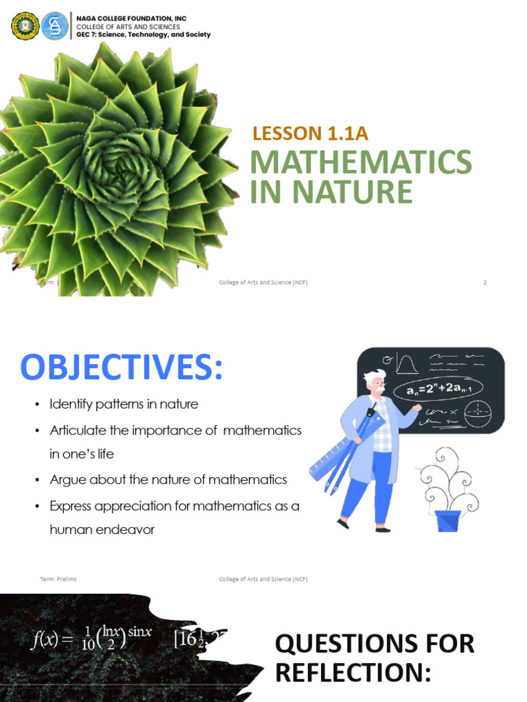 Lesson 1.1A Nature of Mathematics | PDF